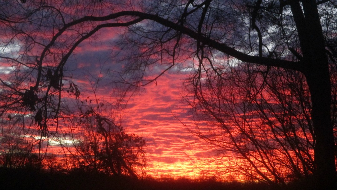 Genesis 18 | Devotionals & Short Stories