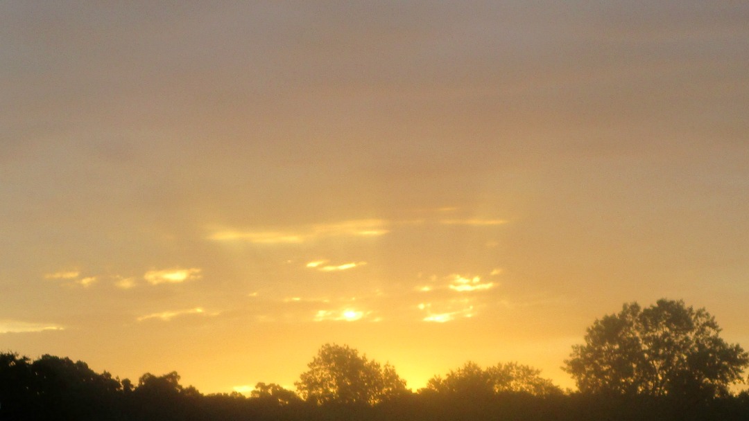 Psalm 53 Devotionals Short Stories