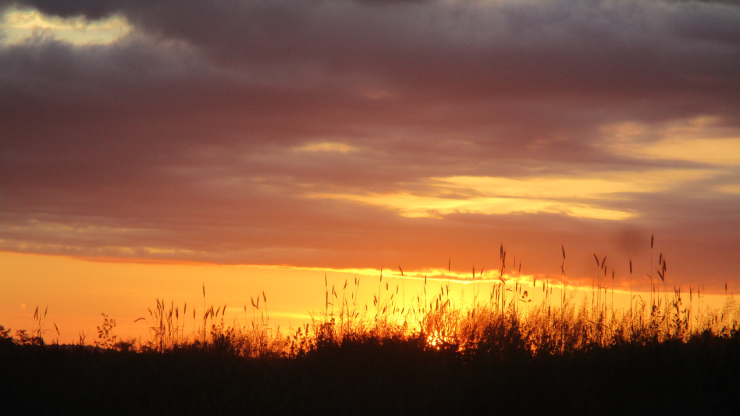 Titus 1 | Devotionals & Short Stories