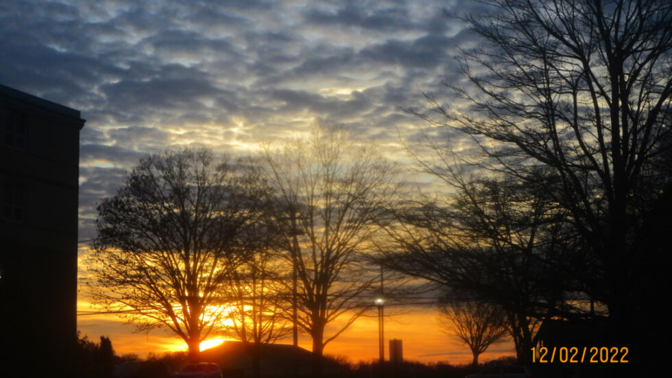 Psalm 26 | Devotionals & Short Stories