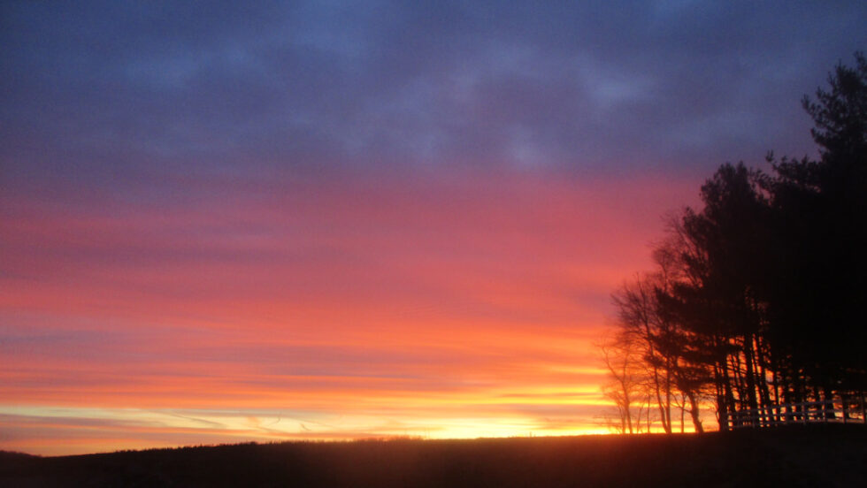 Genesis 39 | Devotionals & Short Stories